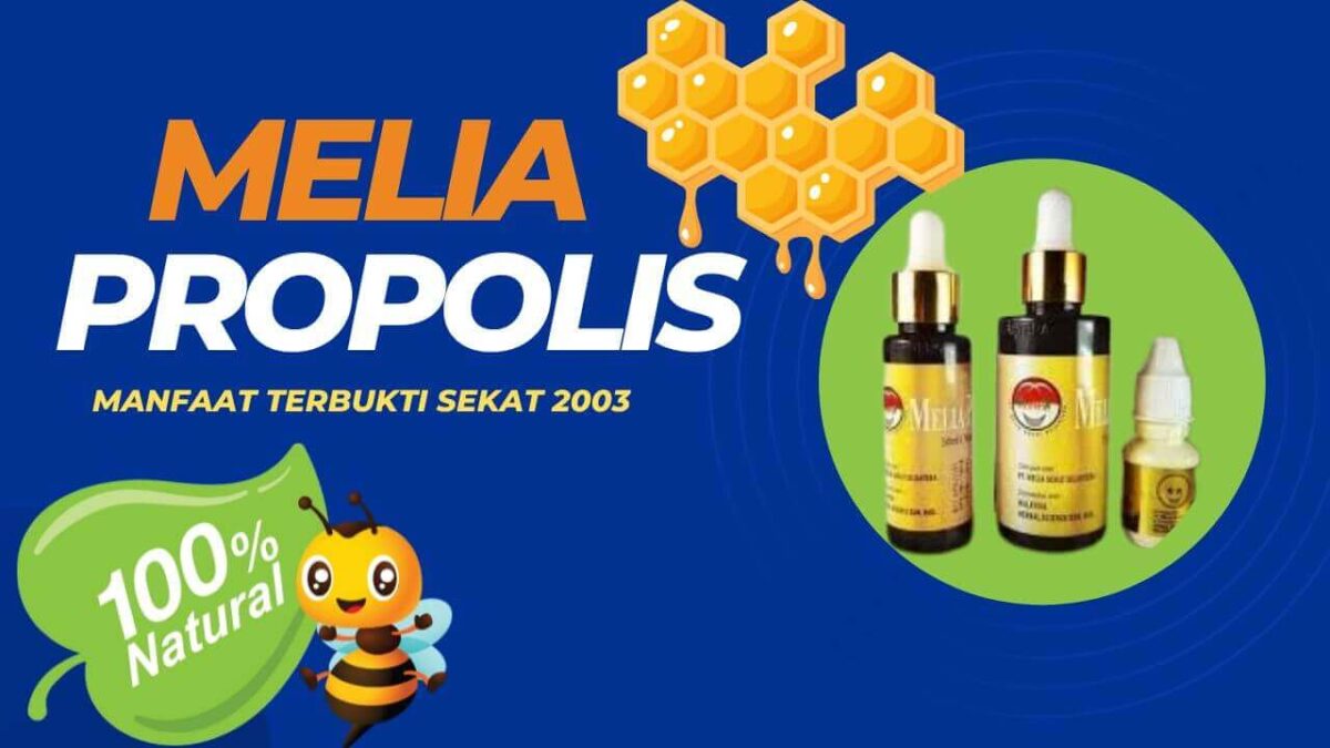Agen Propolis Melia Asli » ASLI - Manfaat Terbukti Sejak 2003