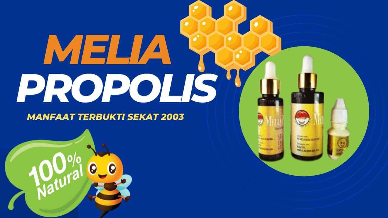Agen Propolis Melia Asli » ASLI - Manfaat Terbukti Sejak 2003