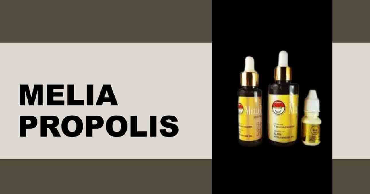 16 Manfaat Melia Propolis: Obat Herbal Alami Untuk Kesehatan Anda ...