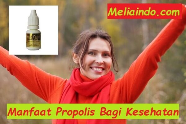 Manfaat Propolis Bagi Kesehatan, Ibu Hamil, Mata, Dan Penderita ...