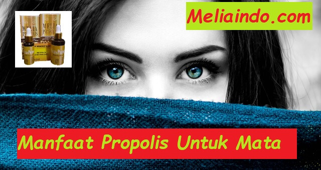 4 Manfaat Propolis Bagi Kesehatan, Ibu Hamil, Mata, Dan Penderita ...