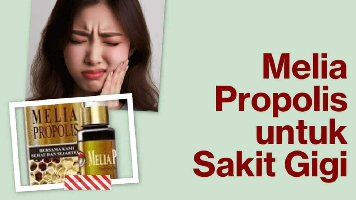 Cara Menggunakan Melia Propolis Dengan Benar Untuk Manfaat Maksimal ...