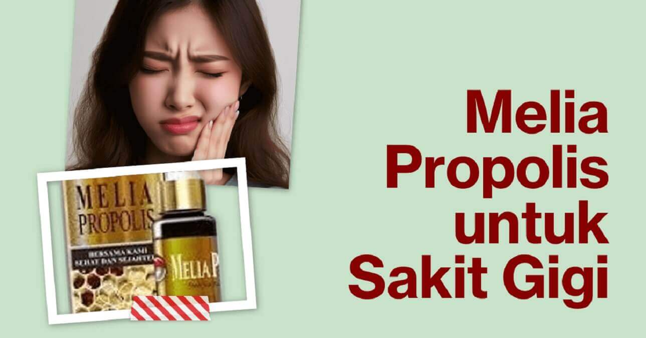 Agen Propolis Melia Asli » Manfaat Terbukti Sejak 2003