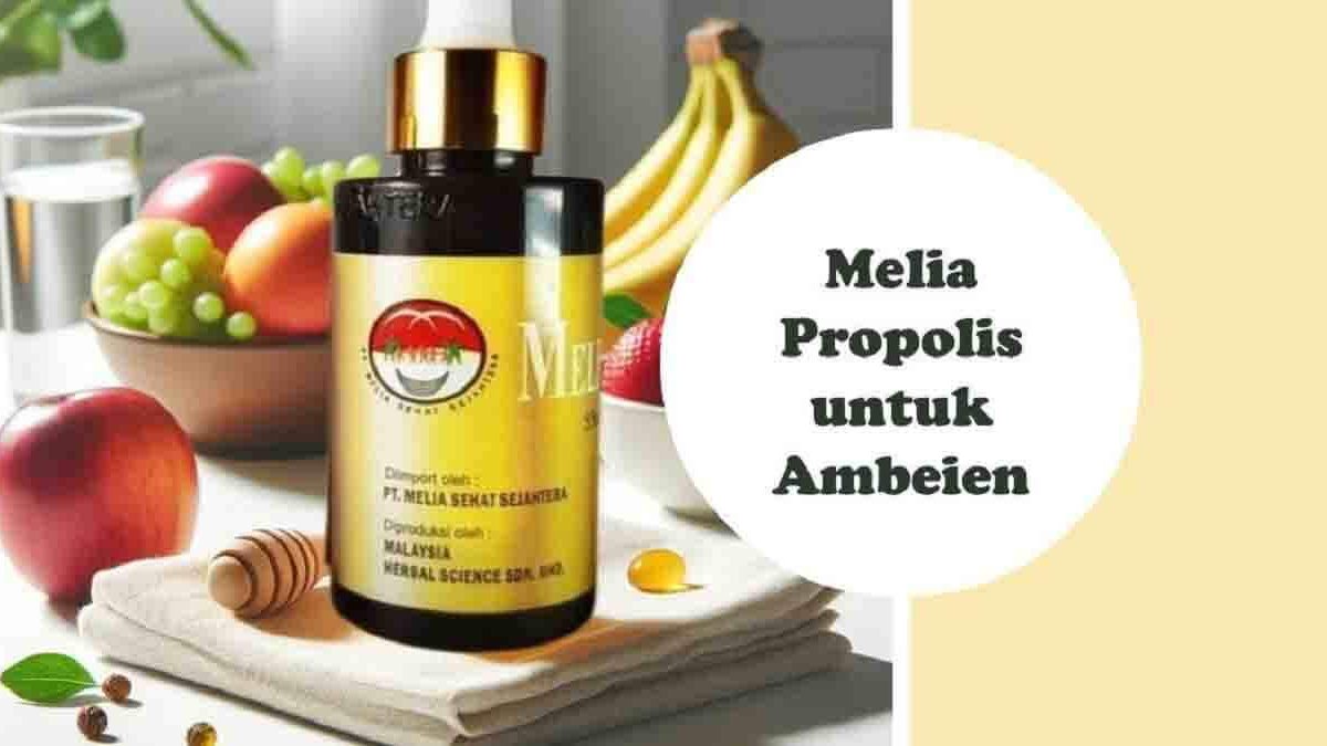 Manfaat Melia Propolis Untuk Mata Minus Agar Tidak Semakin Parah Tanpa ...