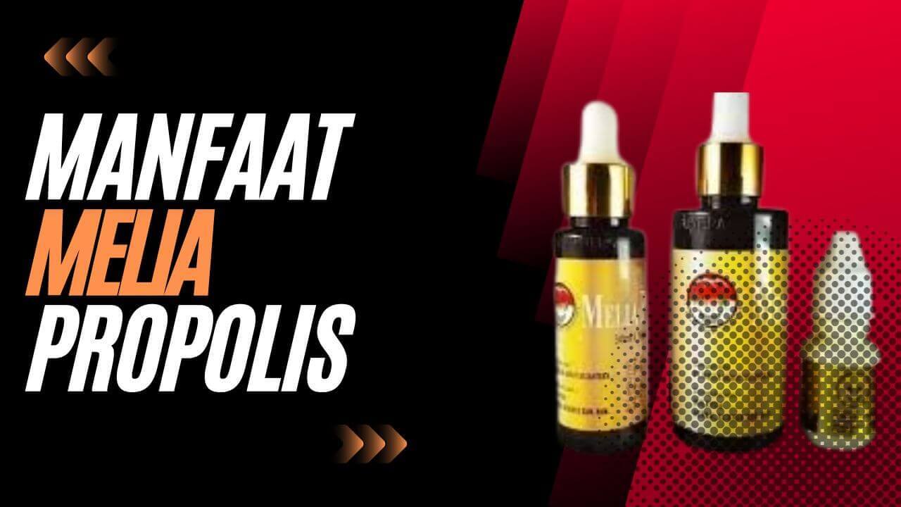 16 Manfaat Melia Propolis: Obat Herbal Alami Untuk Kesehatan Anda ...