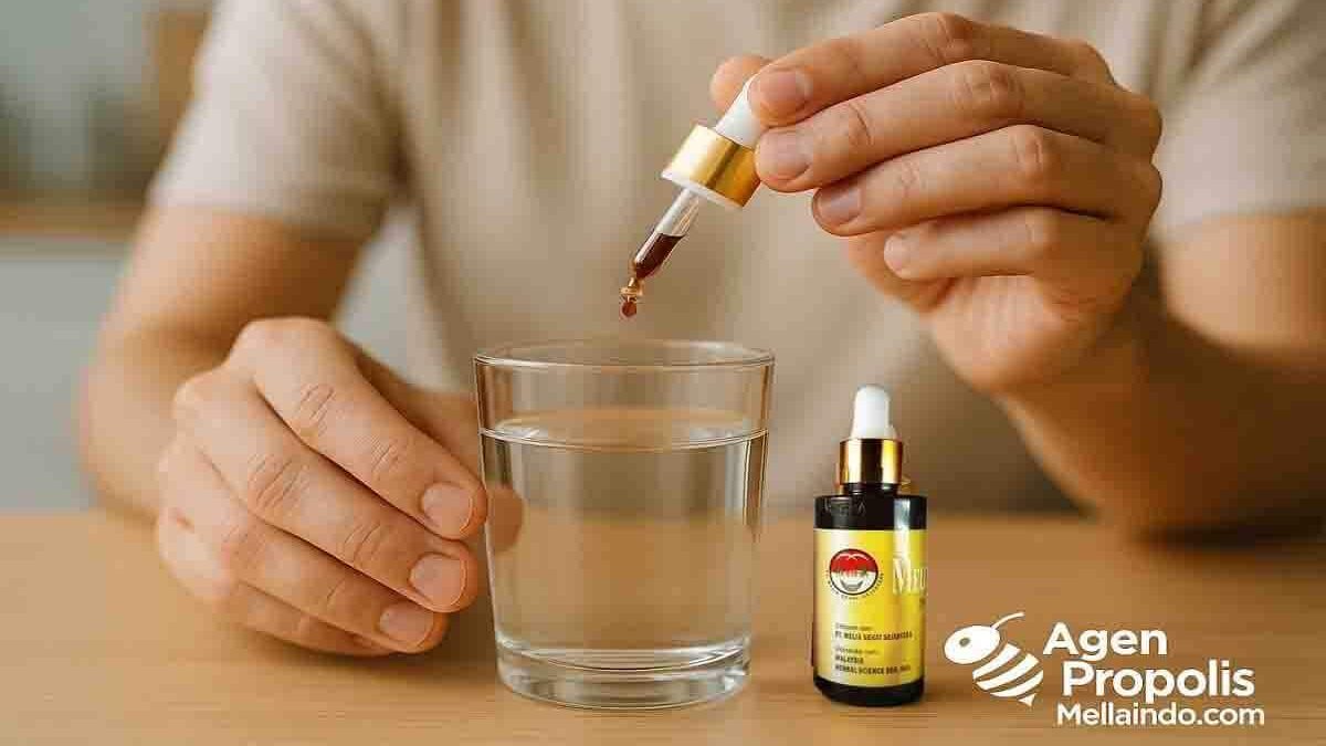Manfaat Melia Propolis Untuk Mata Minus Agar Tidak Semakin Parah Tanpa ...