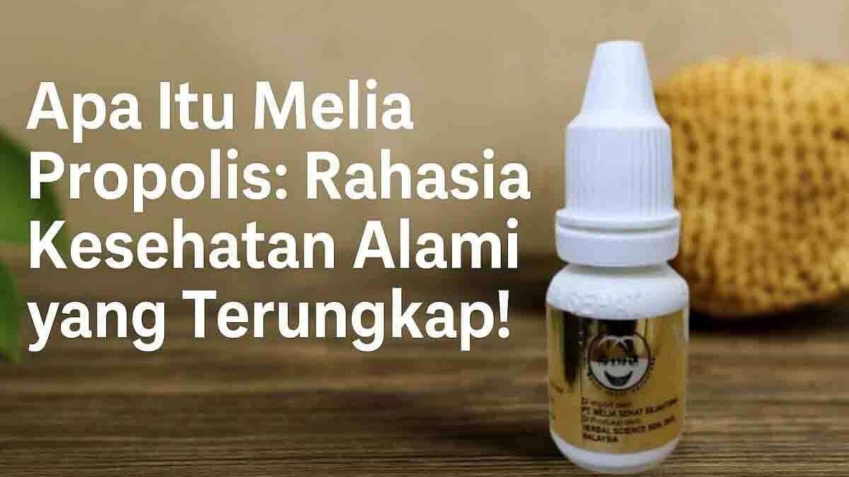 16 Manfaat Melia Propolis: Obat Herbal Alami Untuk Kesehatan Anda ...