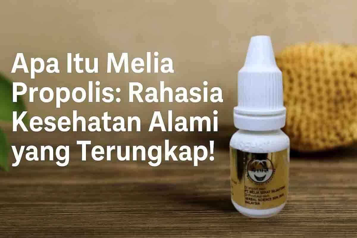 Apa Itu Melia Propolis: Rahasia Kesehatan Alami Yang Terungkap! » Agen ...