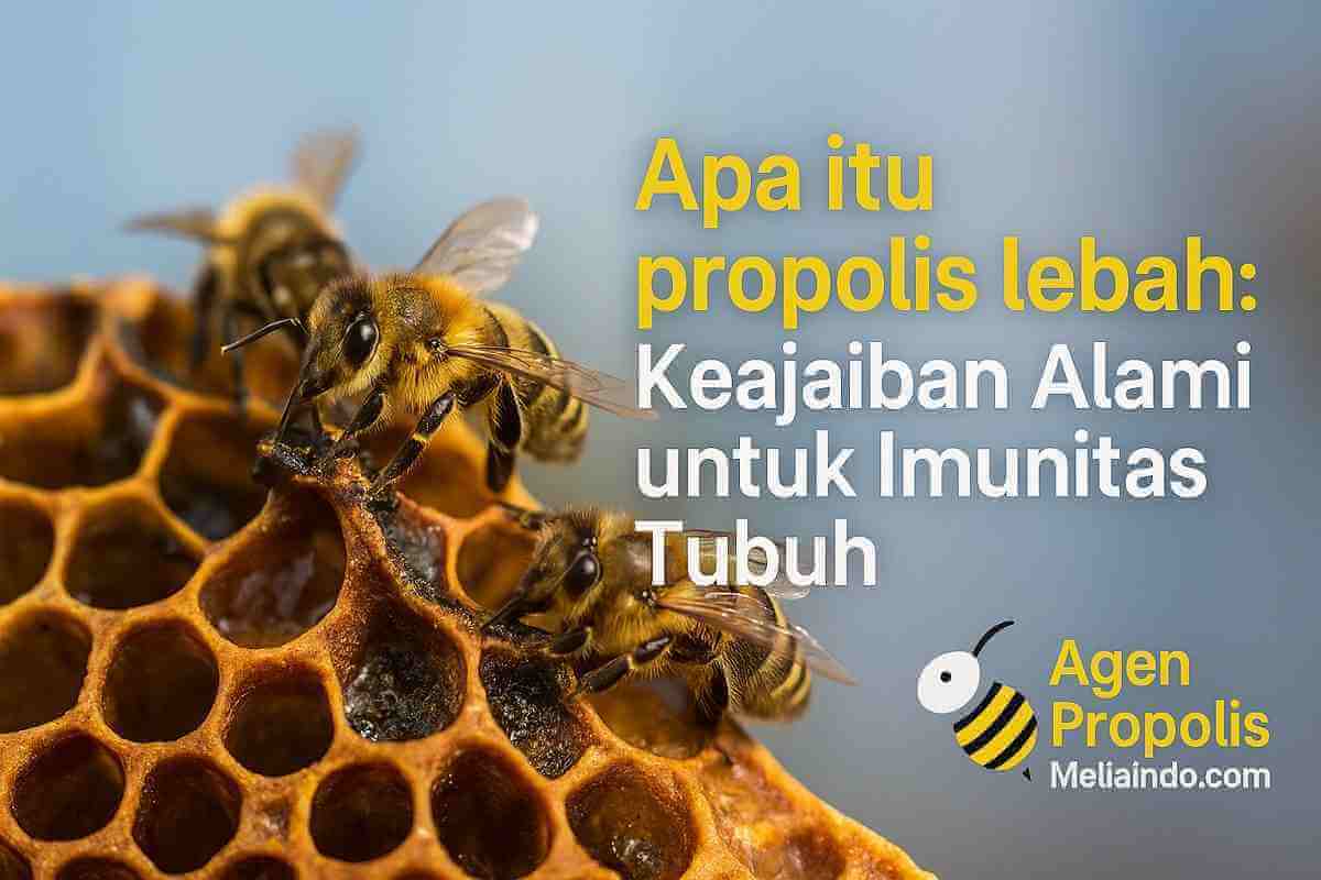 Apa Itu Propolis Lebah: Keajaiban Alami Untuk Imunitas Tubuh » Agen ...